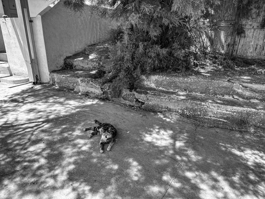 OM1, OM2, OM3 Shade Guide | Tantratravelers